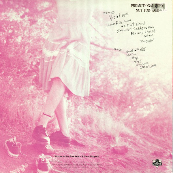 Too High To Die by Meat Puppets – discosdobau